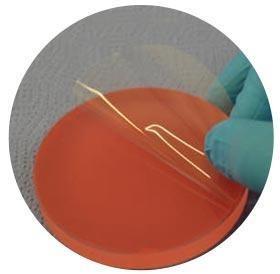 Work Holding, Foam Tape and Non-slip Material - Kemet USA